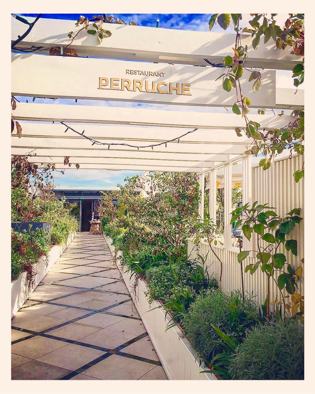 Perruche – Paris – Le Petit Lu Gourmand Journaliste, Chroniqueur et ...